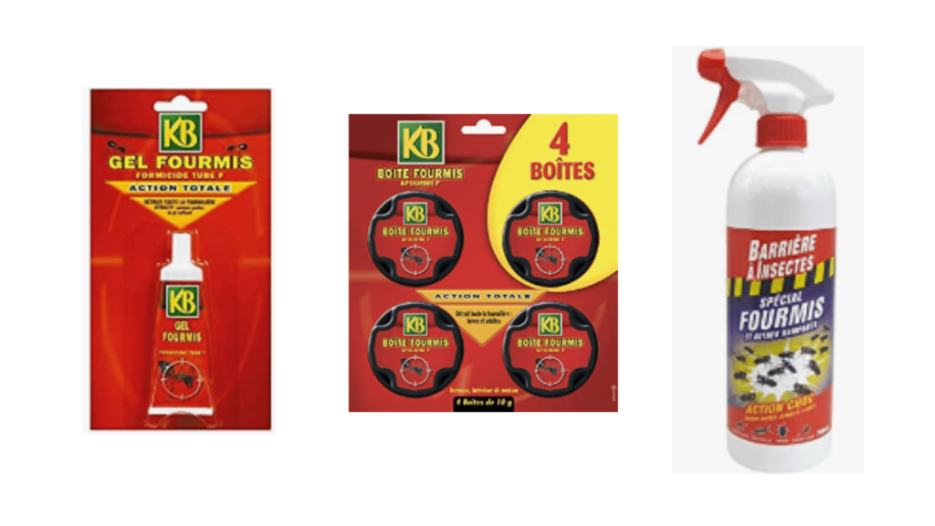 Comment faire pour se débarrasser des fourmis ? 9 idées à tester